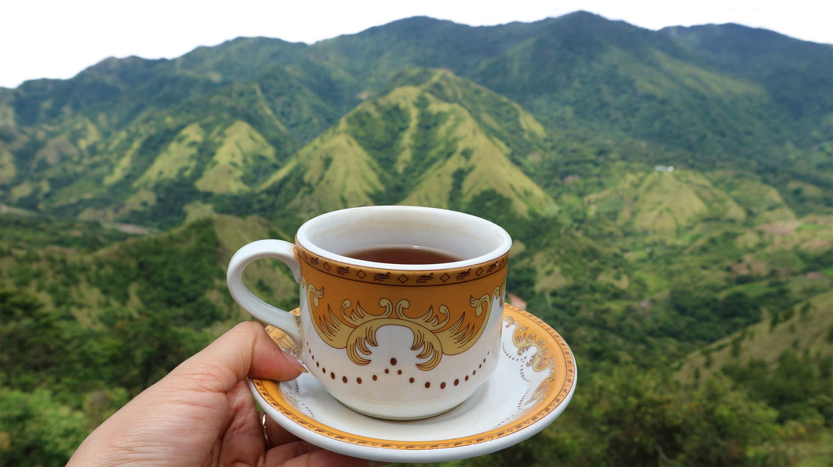 Mountain-to-Cup Difference – Toraja Mountain Coffee